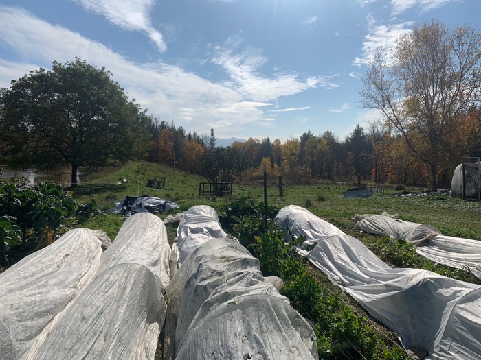 About Us :: Red Clover Farm