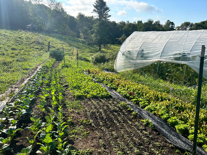 Our Story :: Red Clover Farm